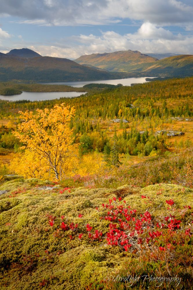 Fujifilm landscape lenses – Ultralight Photography