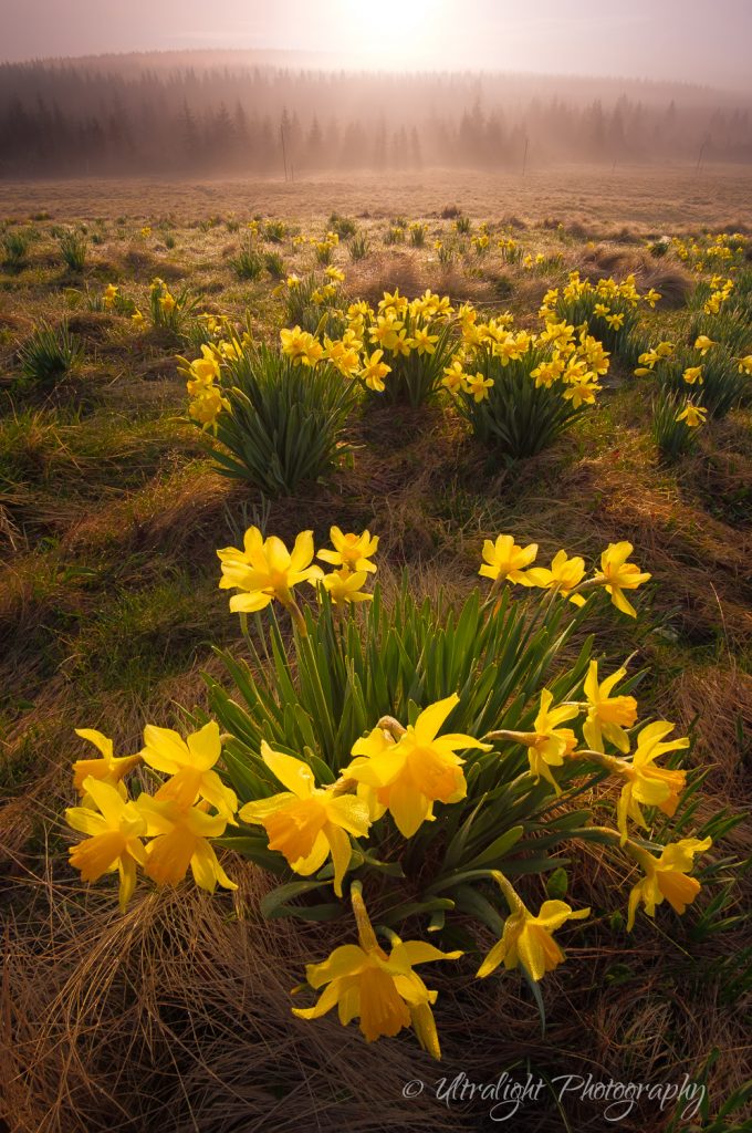 Fujifilm landscape lenses – Ultralight Photography